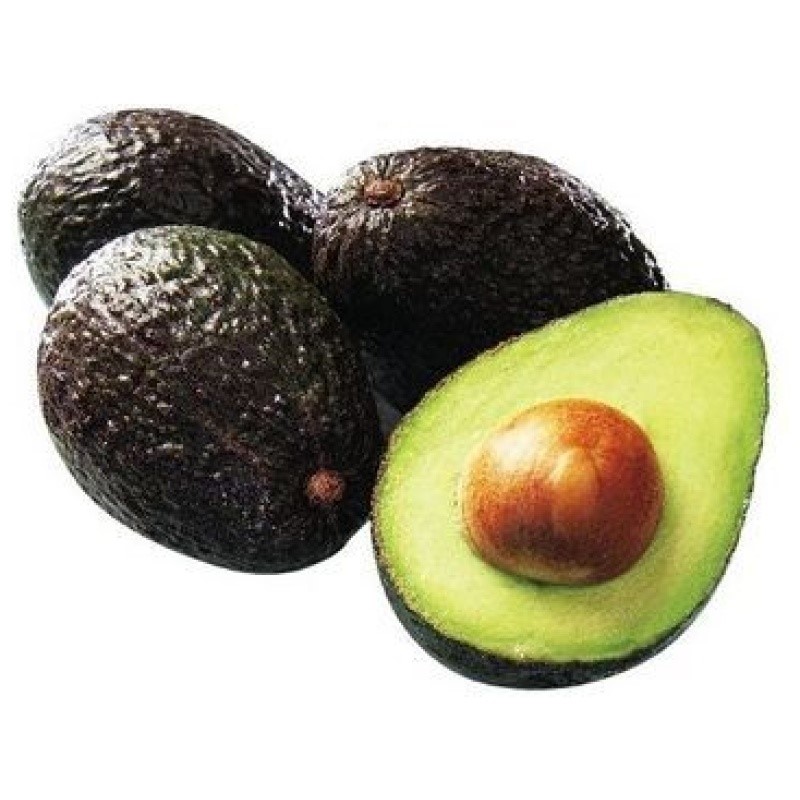 PALTA – Provision Bella Vista